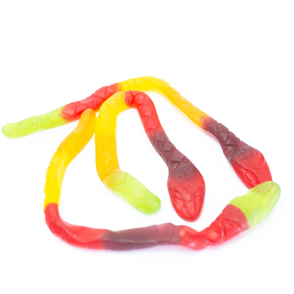 Allens Killer Pythons – The Lolly Bug